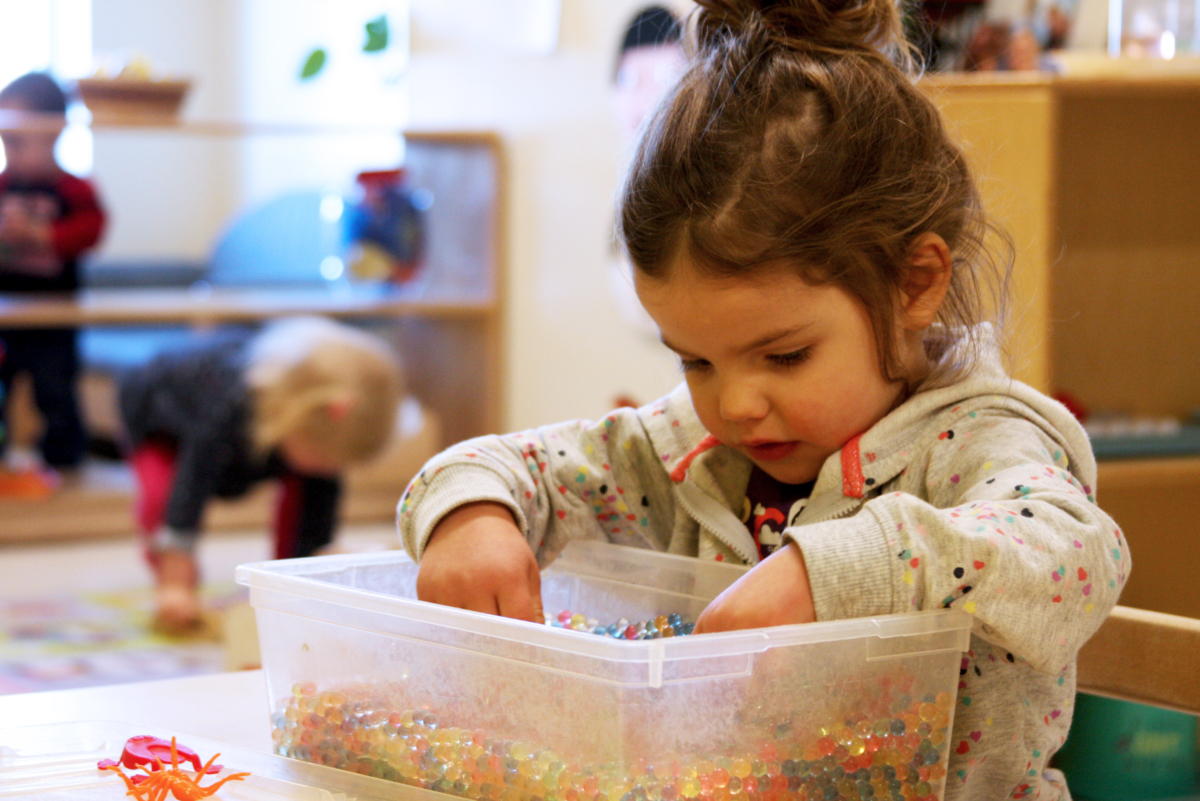 First Steps Tour – Monarch Montessori of Denver